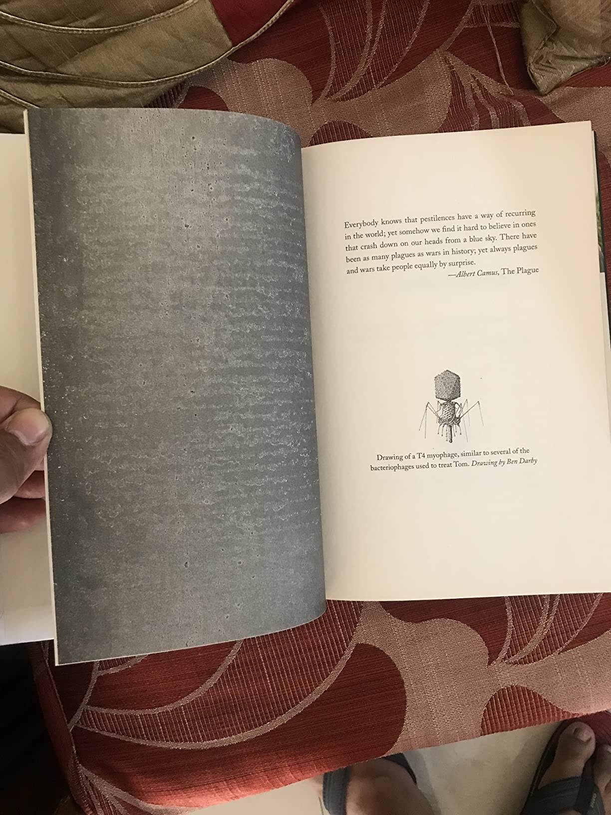 THE PERFECT PREDATOR : Strathdee, Steffanie, Patterson, Thomas, Barker ...