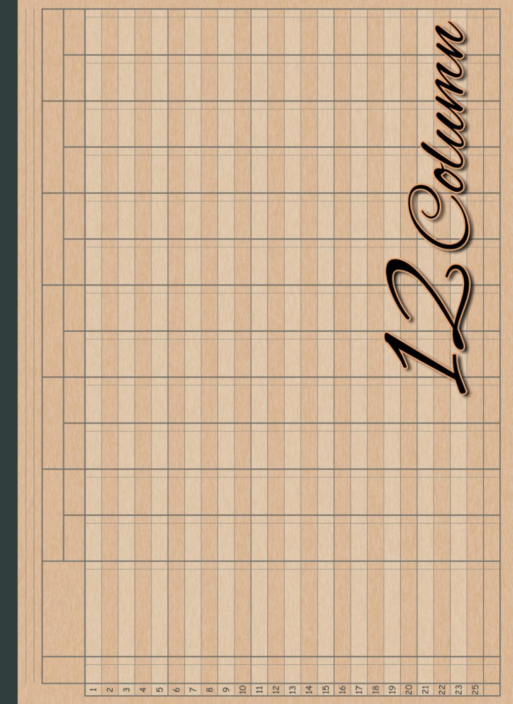 Amazon.com: 12 Column Ledger Book: Large Print Accounting Ledger Book ...