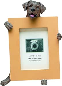 Amazon.com: Chocolate Lab Picture Frame Holds Your Favorite 2.5 by 3.5 ...
