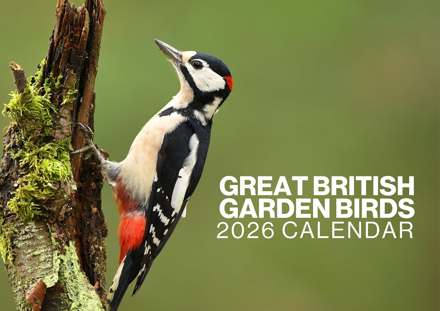 Bird Calendar 2026, Great British Garden Birds Wildlife Wall Calendar ...