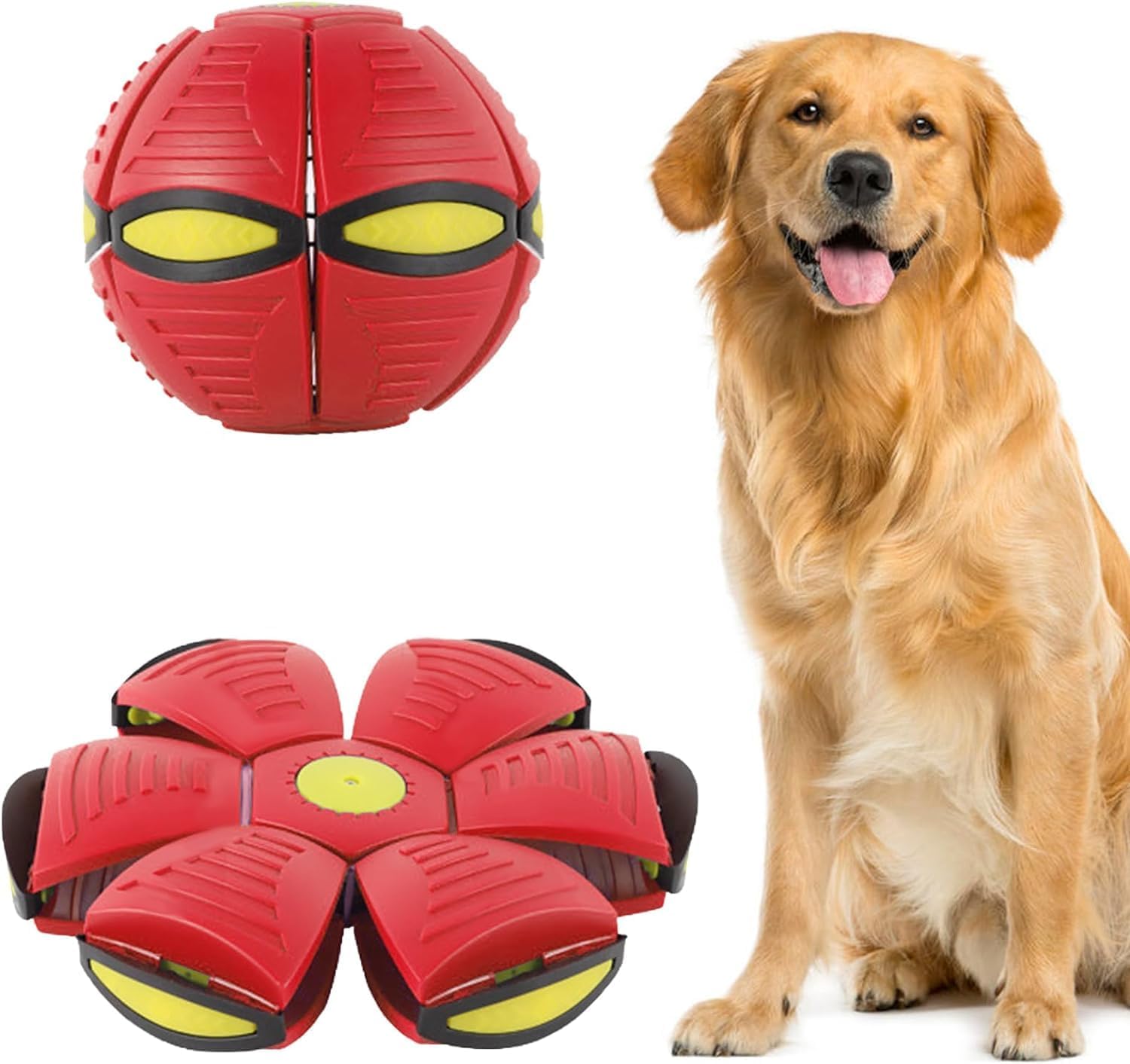 Pet Supplies : Flying Saucer Ball for Dog, Indoor and Outdoor Pet Toy ...