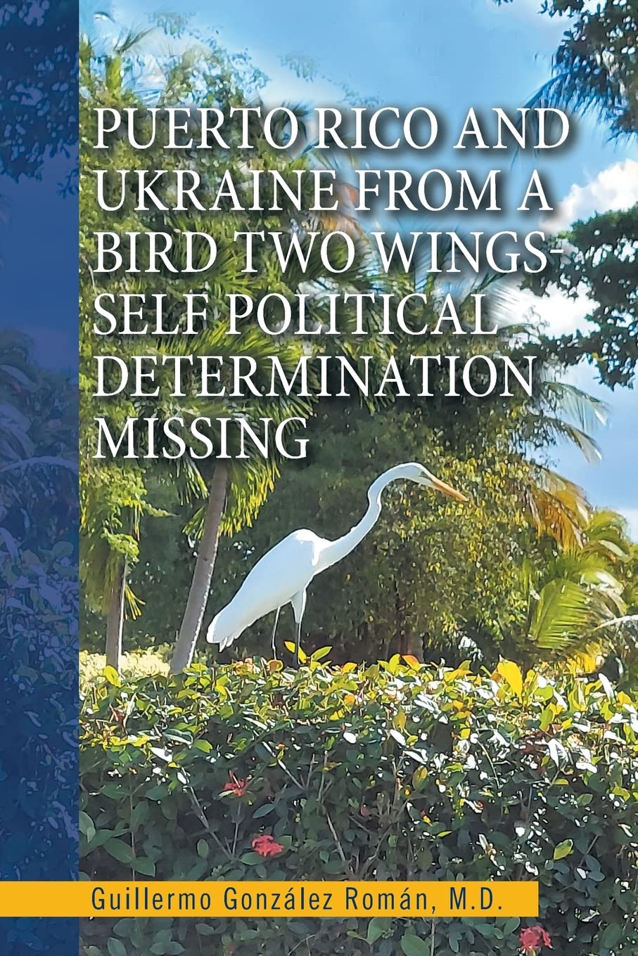 Puerto Rico and Ukraine from a Bird Two Wings- Self Political ...