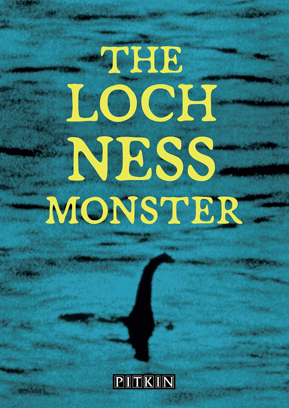 Amazon.com: The Loch Ness Monster: 9781841658292: Charles Fowkes: Books