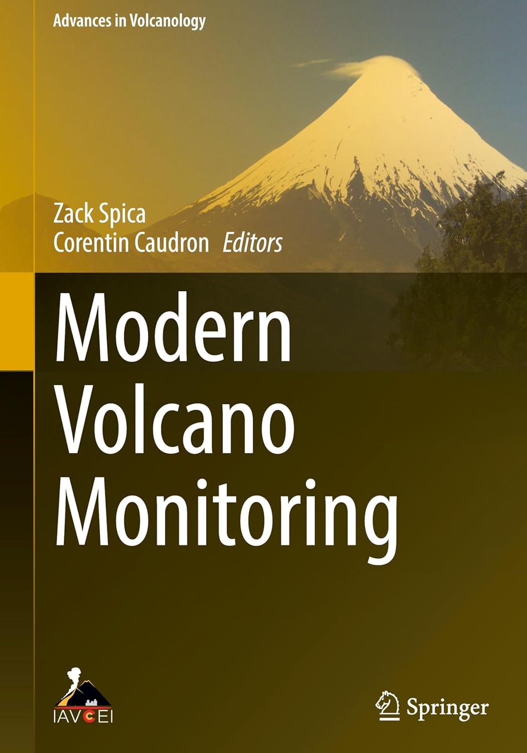 Modern Volcano Monitoring (Advances in Volcanology): Spica, Zack ...