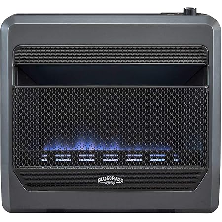 Amazon.com: Mr. Heater 30,000 BTU Natural Gas Blue Flame Vent Free ...
