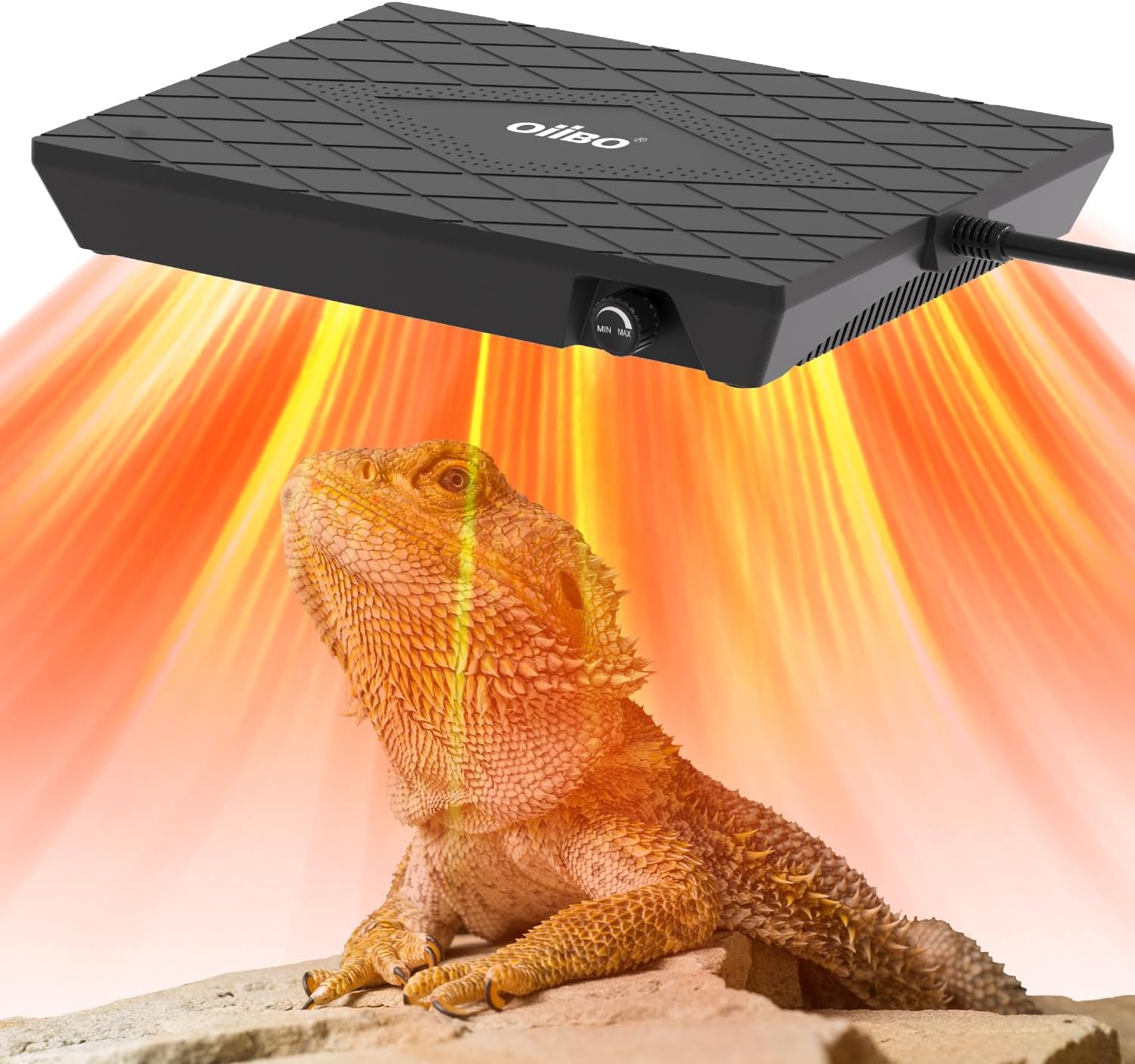 Amazon.com : Oiibo Reptile Heating Panel Temperature Adjustable Heat ...
