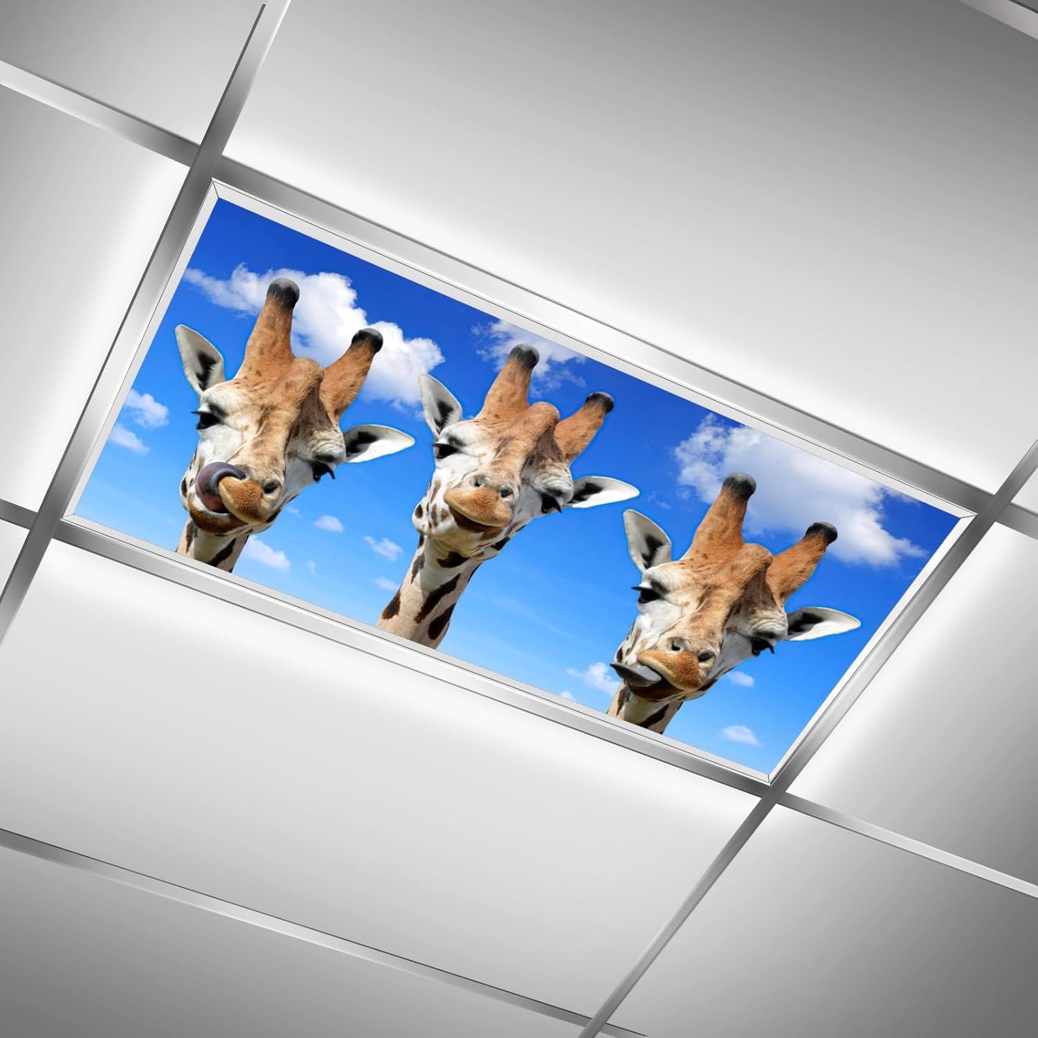 2 Pcs Fluorescent Light Cover for Classroom - Funny Giraffe Magnetic ...