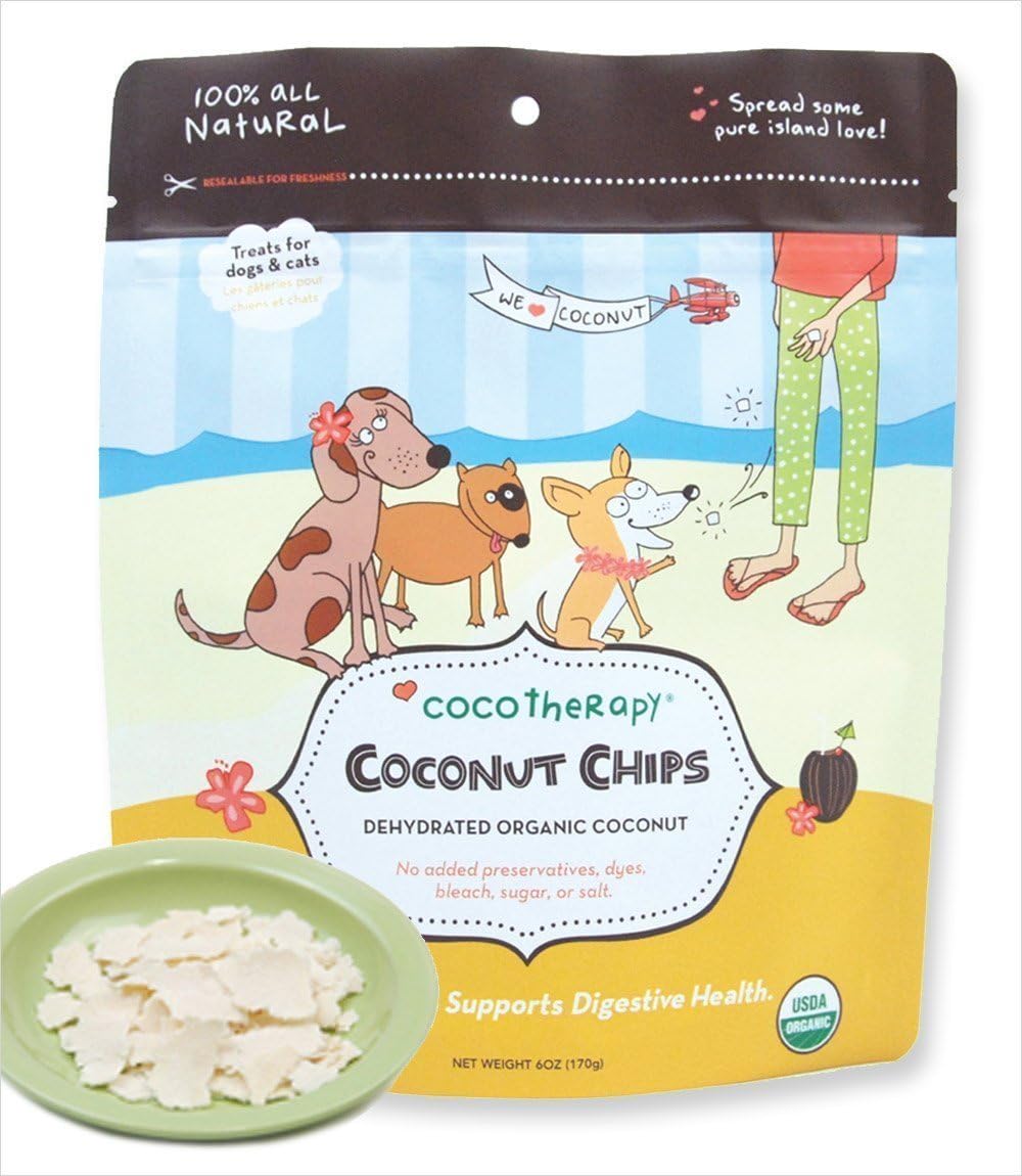 Amazon.com: CoCoTherapy Coconut Chips - 6 oz, (Pack of 2) : Grocery ...