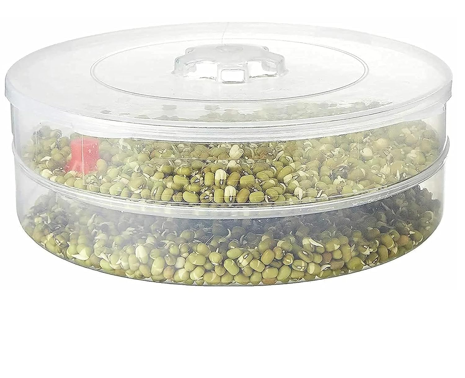 Buy Dweezhet Sprout Maker 2 Layer ABS Plastic Container Beans Sprouts ...