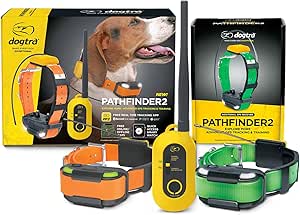 Amazon.com: Dogtra 2 Dog Pathfinder 2 GPS Dog Tracker e Collar with ...