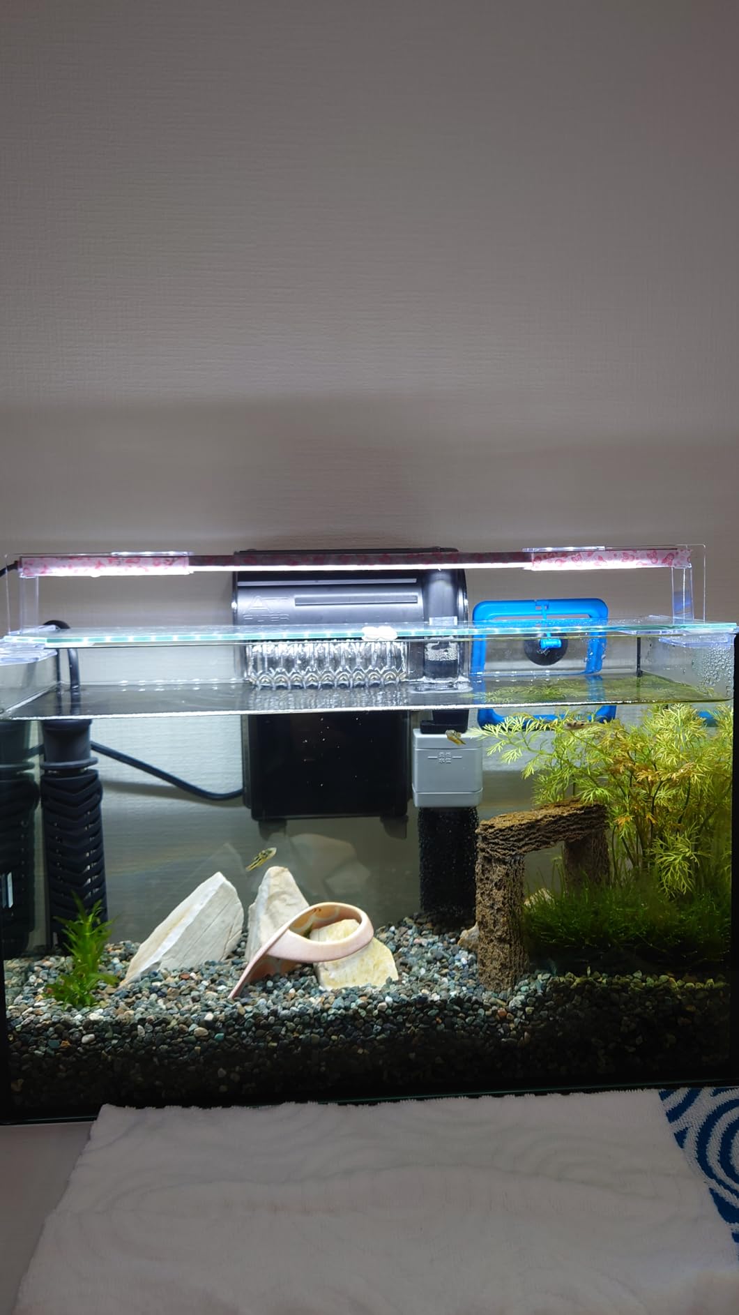 Amazon.co.jp: ジェックス GEX クリアLED フラッティ 4052 BK スリム高輝度LED 40~52cm水槽 厚さ9mm 奥行27mm ブラック 40~52cm水槽用 ...