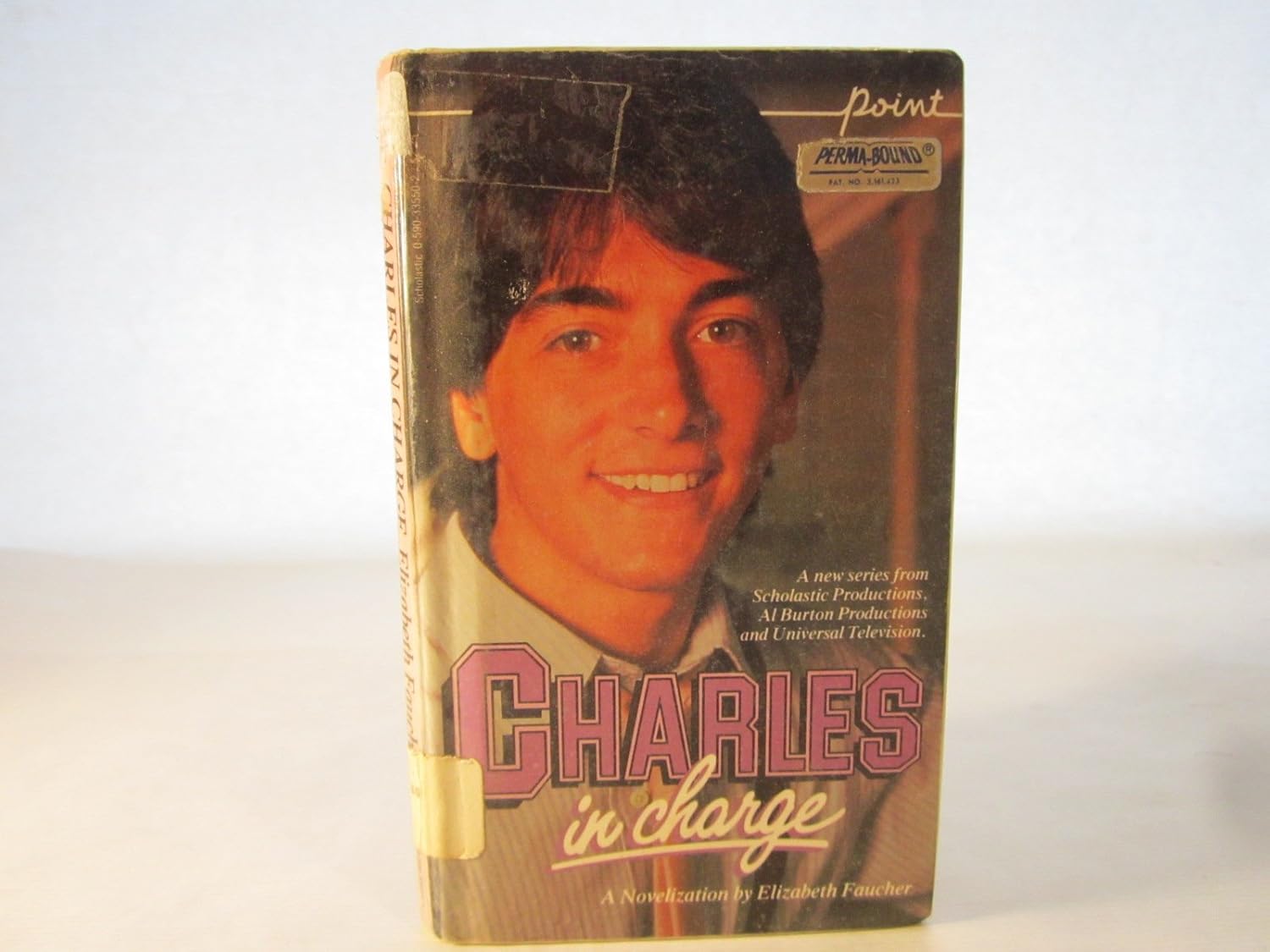 Charles in Charge: Faucher, Elizabeth: 9780590420242: Amazon.com: Books