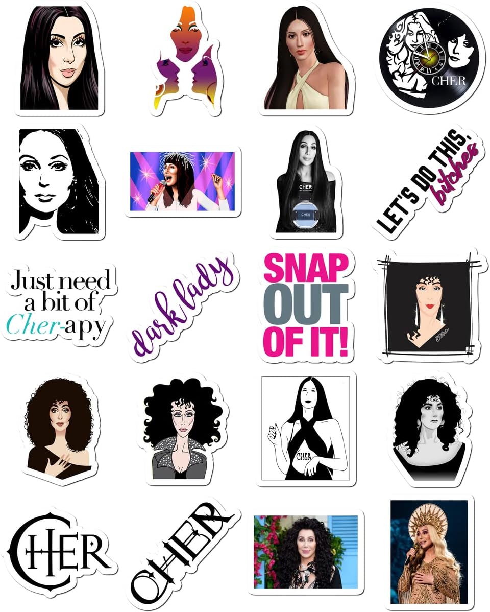 Amazon.com: 20 Pcs Stickers Pack Cher Vinyl Aesthetic Colorful ...