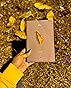 Antima । अंतिमा (Hindi Edition) eBook : Kaul, Manav: Amazon.in: Kindle ...