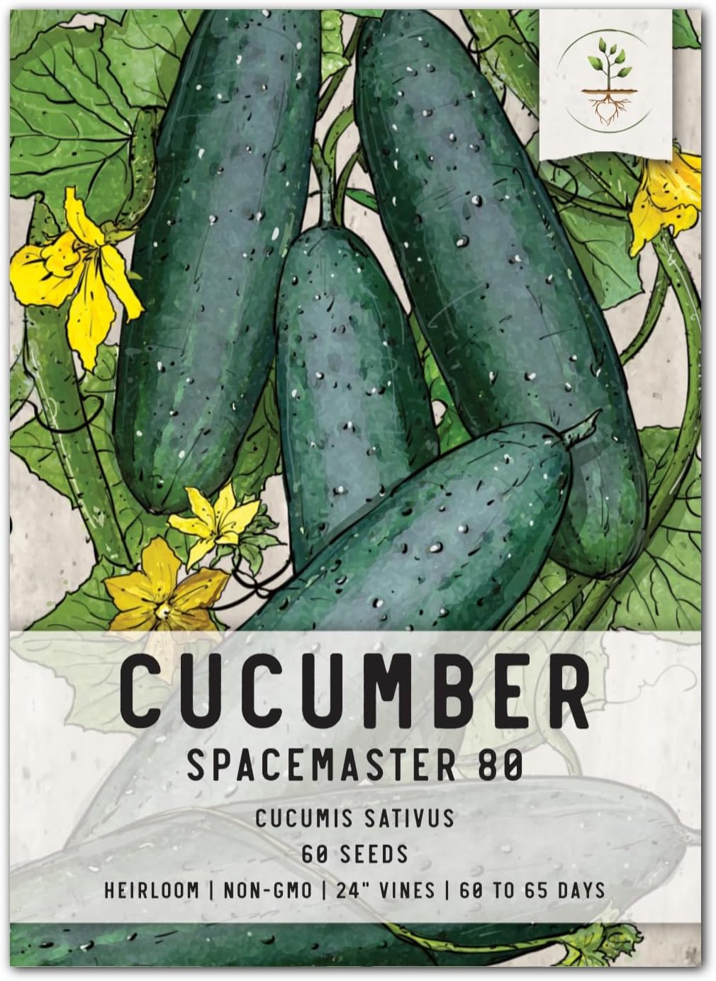 Amazon.com : Seed Needs, Spacemaster 80 Cucumber Seeds - 60 Heirloom ...