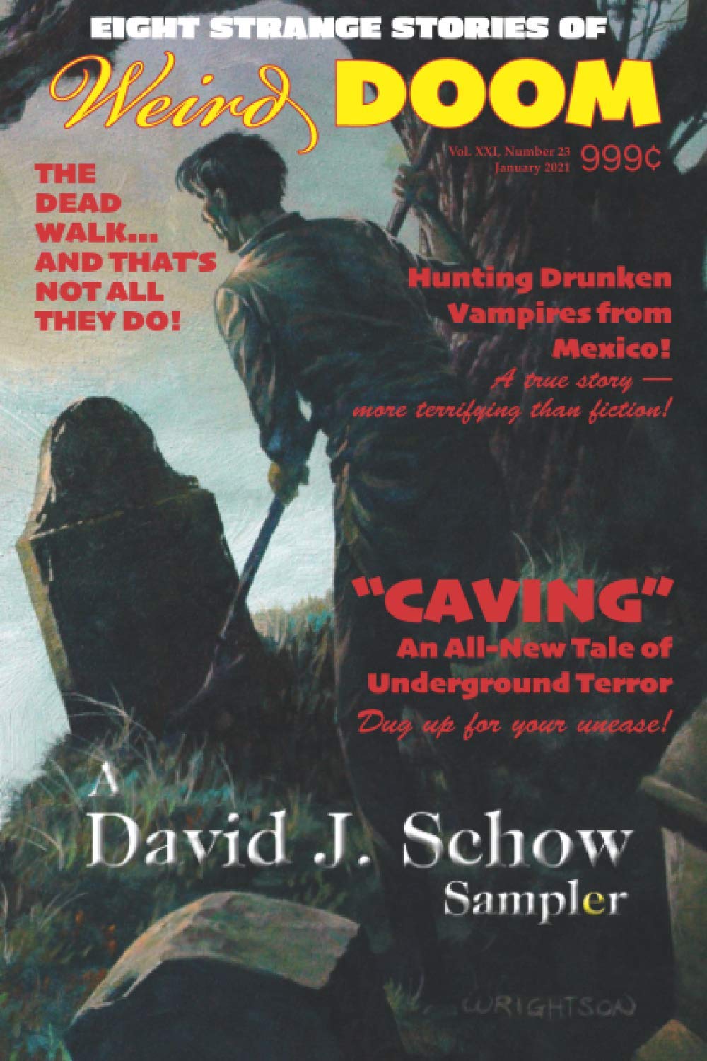 Weird Doom: A David J. Schow Sampler: Schow, David J.: 9798583178155 ...