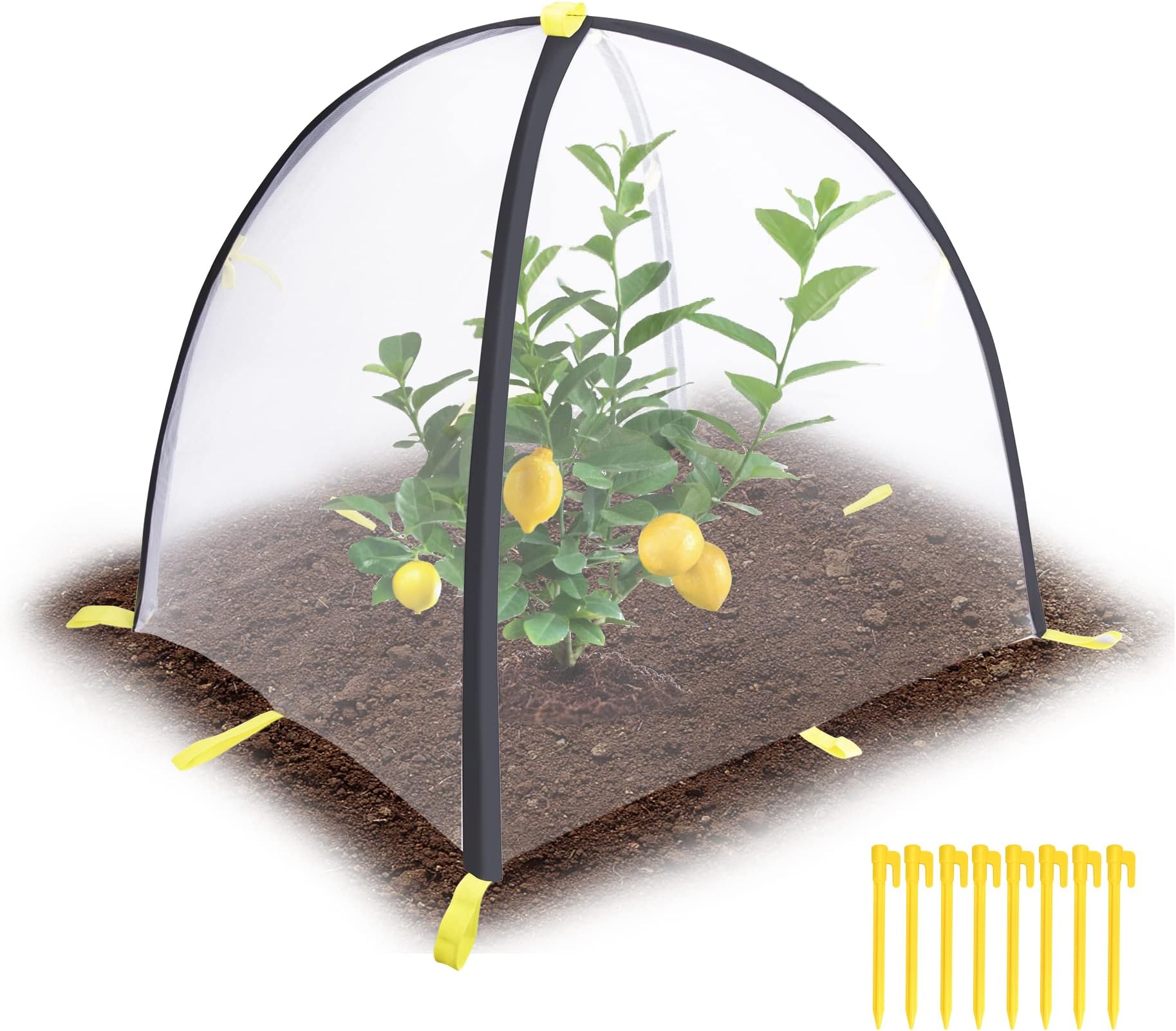 GardenSkill Mini Pop Up Net Fruit Cage - Small Garden Cover Cloche to ...