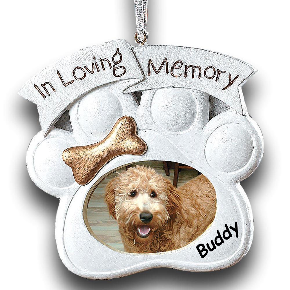 Is Buddy A Dog Name