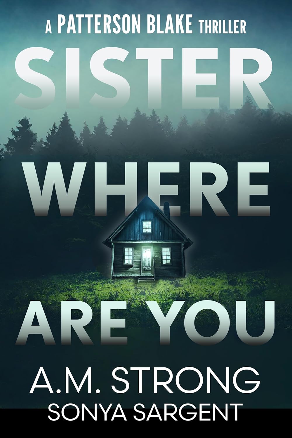Amazon.com: Sister Where Are You (Patterson Blake FBI Mystery Thrillers ...