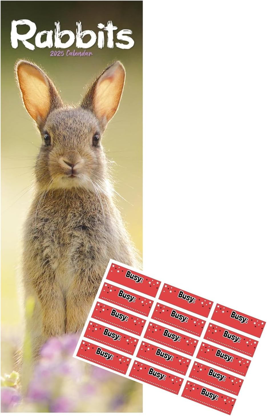 Rabbits Calendar 2025 Slimline Calendar with FREE Organisational ...