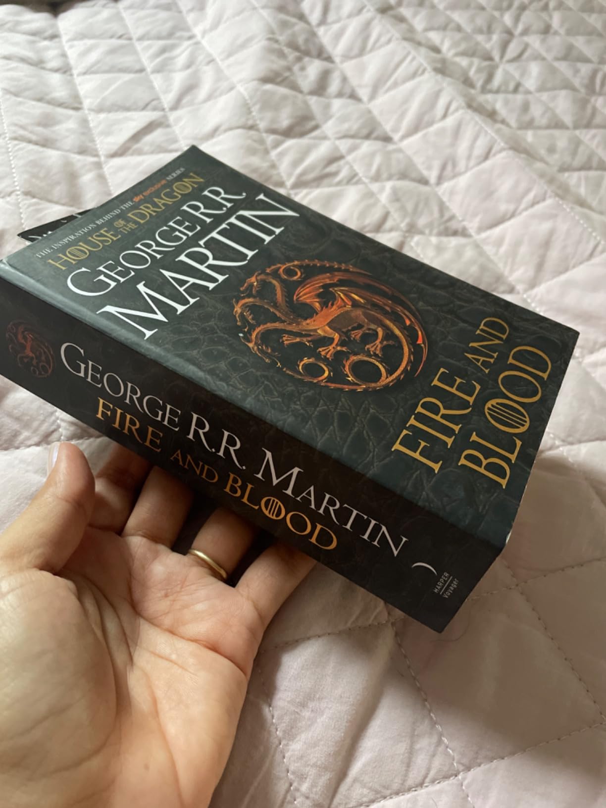 Fire and Blood: The inspiration for HBO and Sky TV series HOUSE OF THE ...