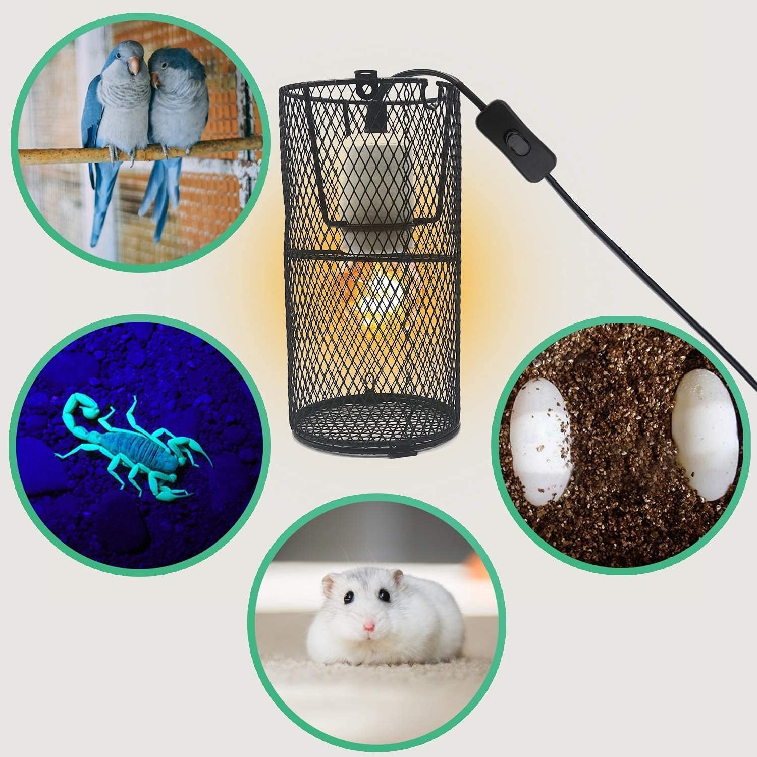 Snapklik.com : Reptile Heat Lamp Guard Ceramic Heat Emitter Basking ...