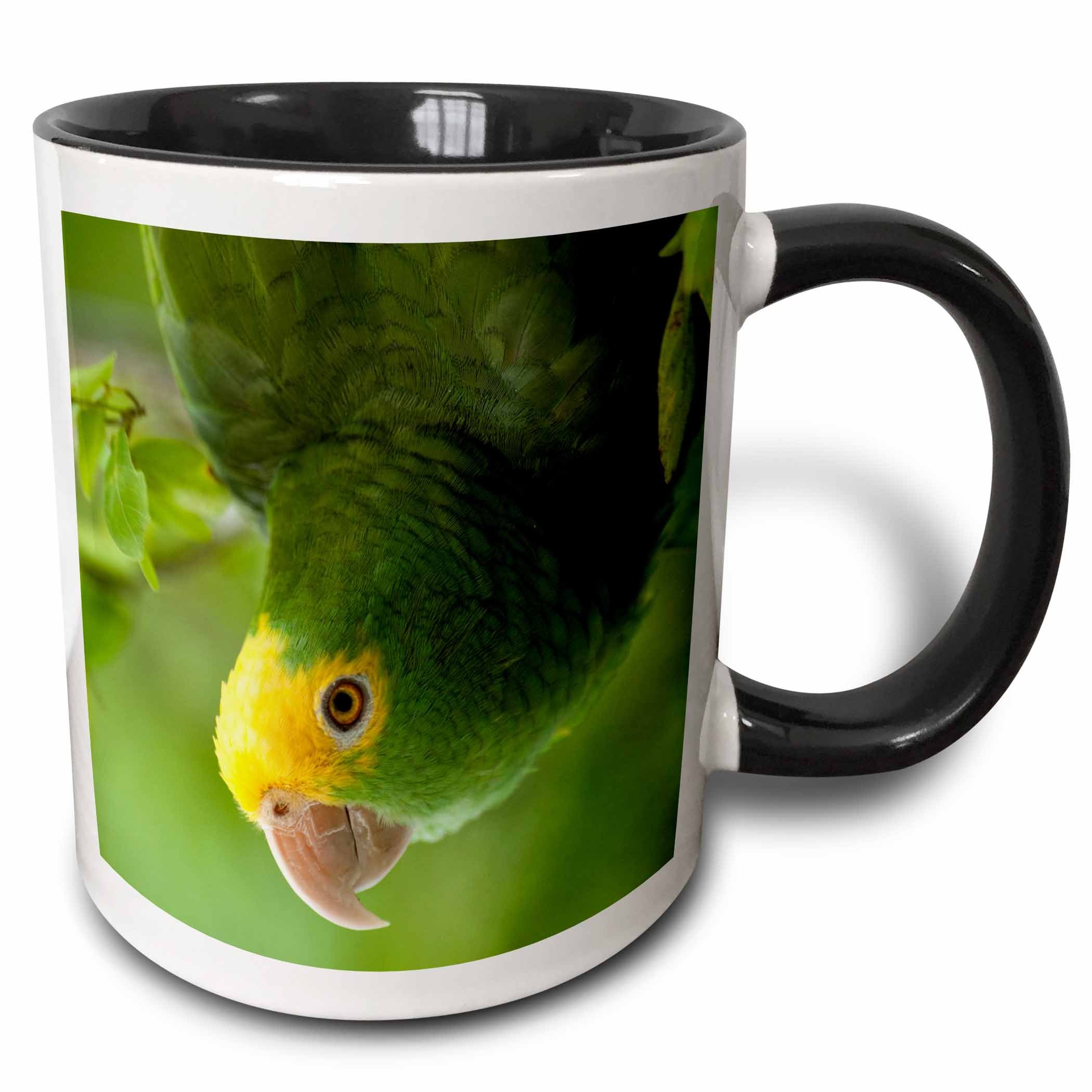 10 Best Parrot Bird Mugs for Bird Lovers - Hummingbirds Plus