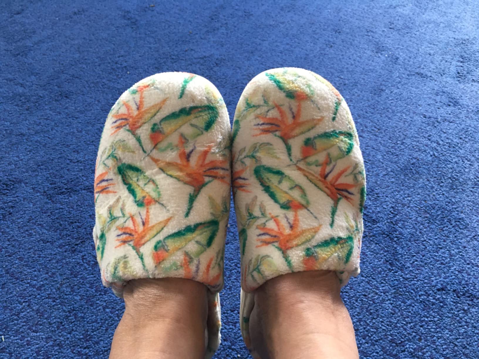 Vionic Women's Slippers Gemma Shoes with Arch Support Medium Fit ...