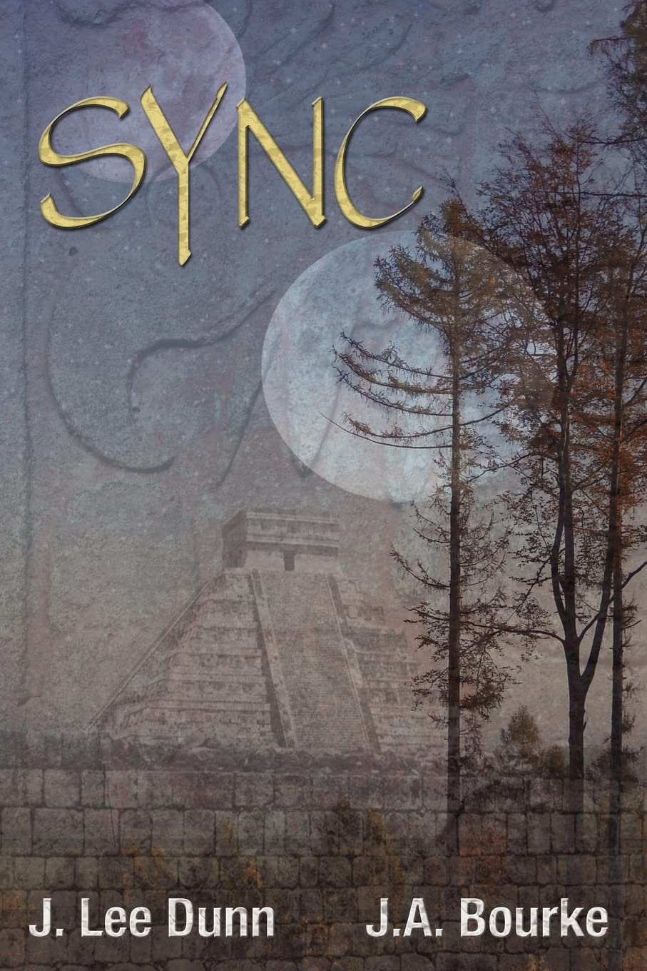Sync (The Sync Saga): Dunn, J. Lee, Bourke, J. A.: 9781475278033 ...