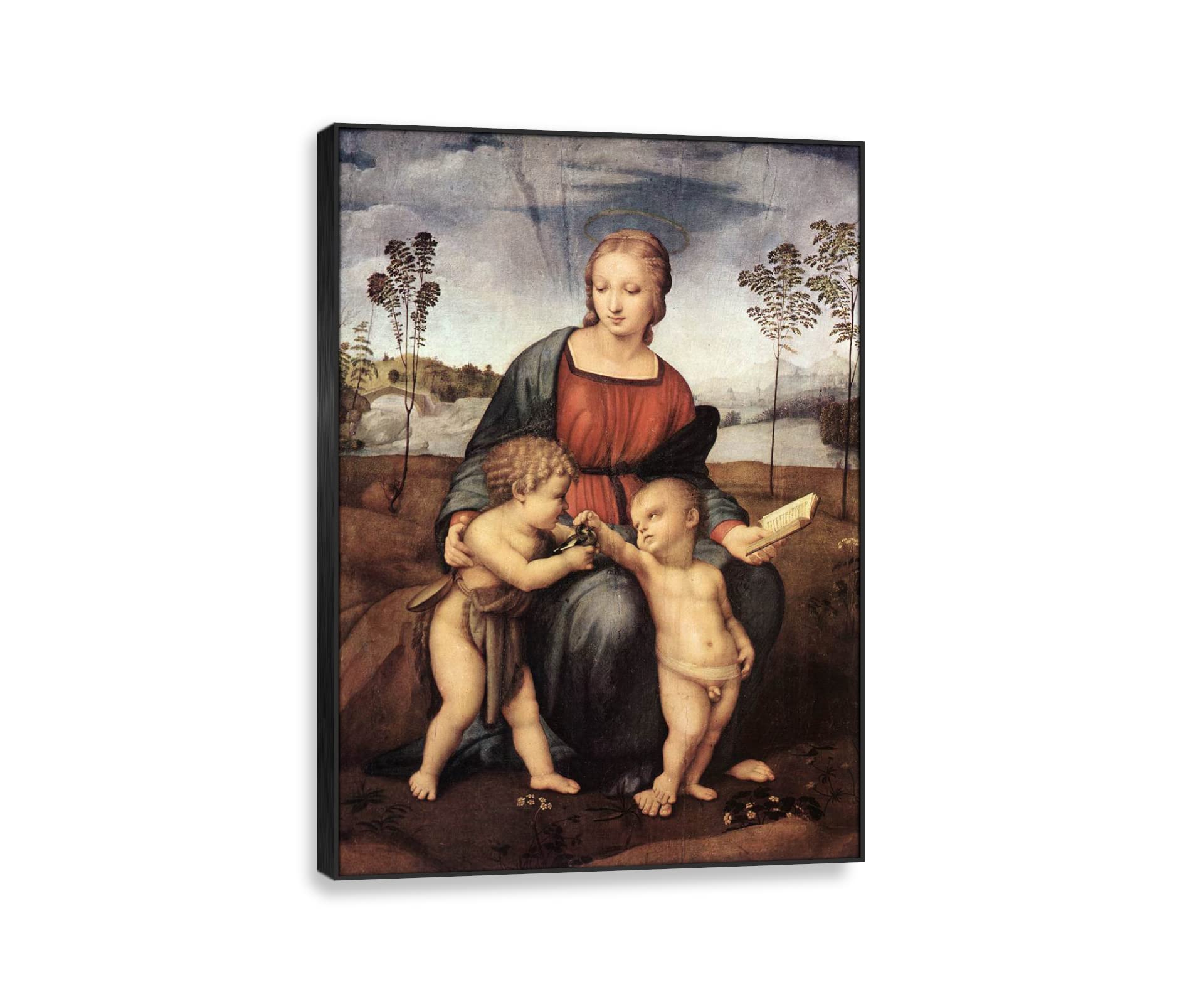 Raphael Sanzio Madonna