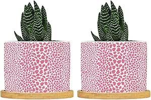 Amazon.com: BRUYU5SE Pink Leopard Print Planters Ceramic African Animal ...