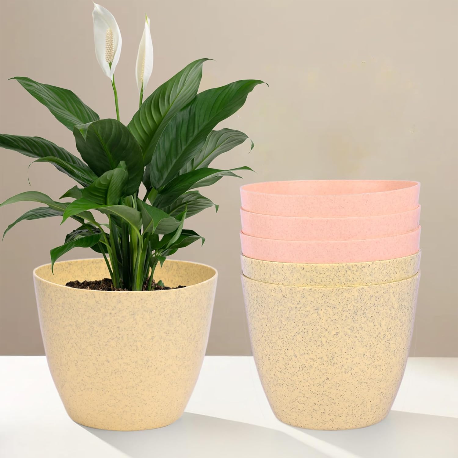 Heart Home Pack of 6 Flower Pot | Flower Pot for Living Room-Office ...