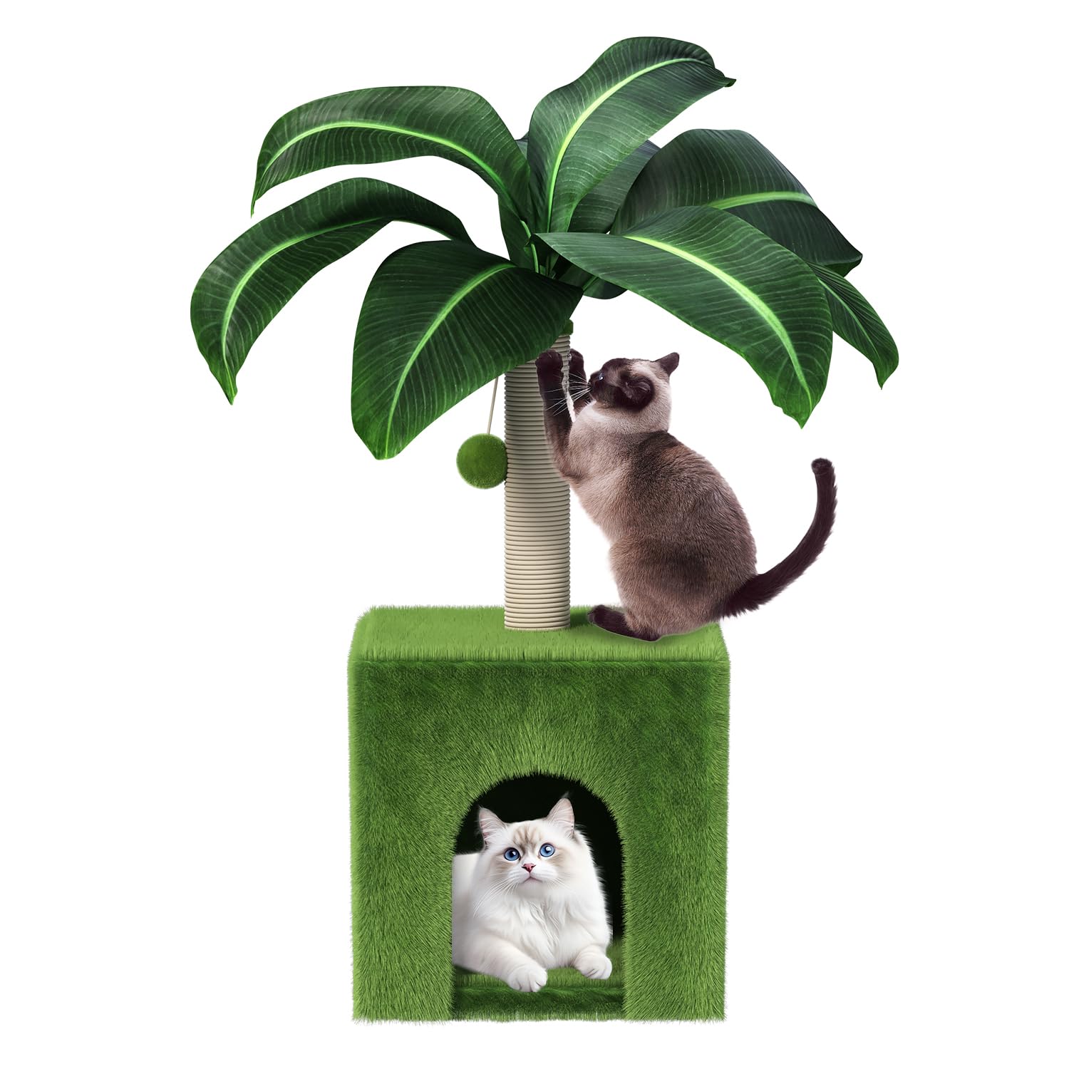 Amazon.com : Cat Scratching Post with Condo, Palm Cat Tree Tower ...