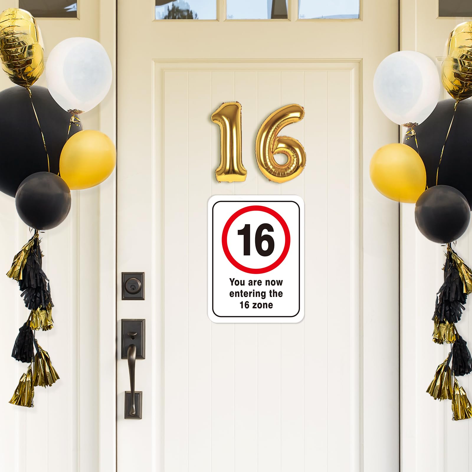 Snapklik.com : 16th Birthday Party Decorations - 9PCS Happy 16 Years ...
