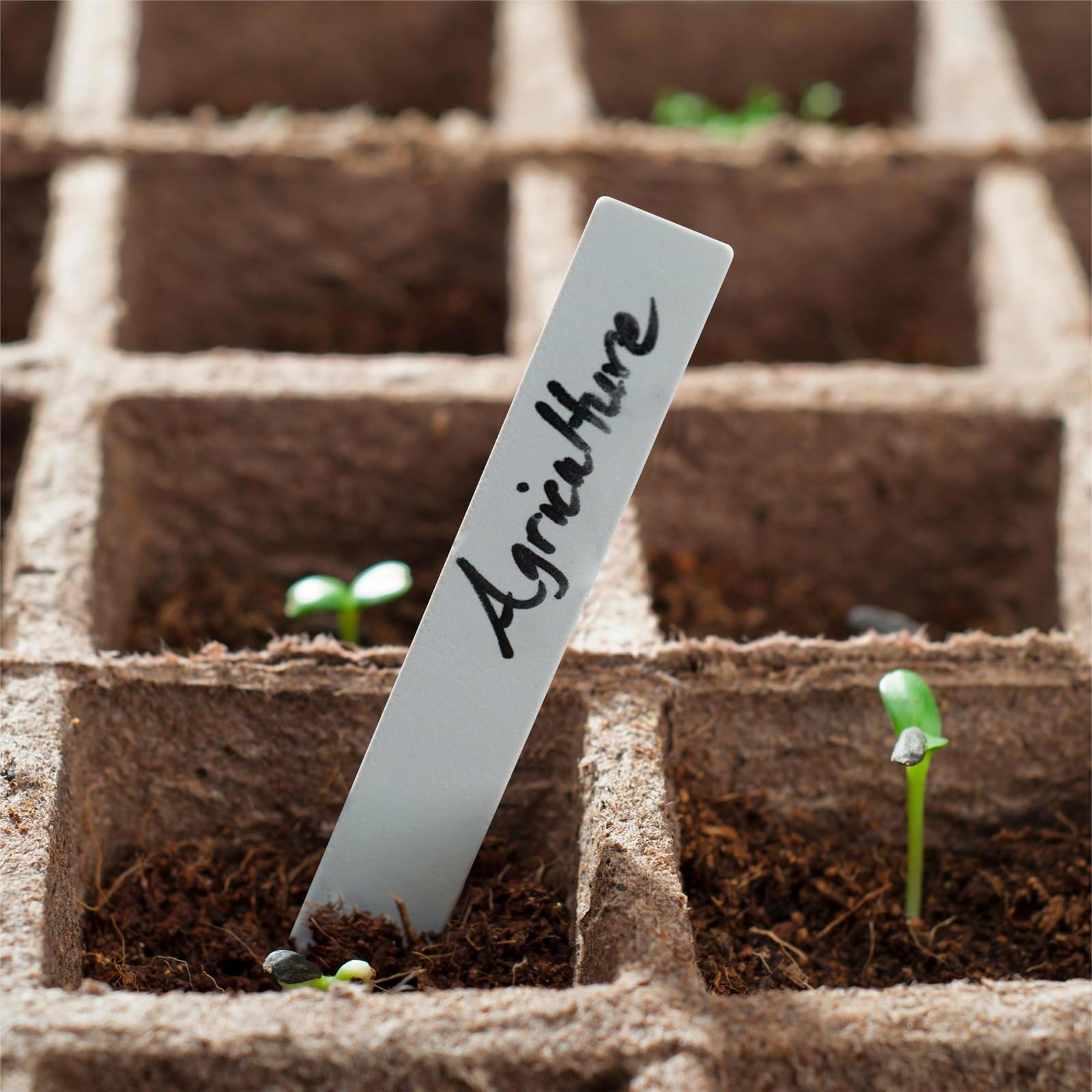 ® 300Pcs 4" Plant Labels with Marker Pen, Waterproof Plastic Plant Tags ...