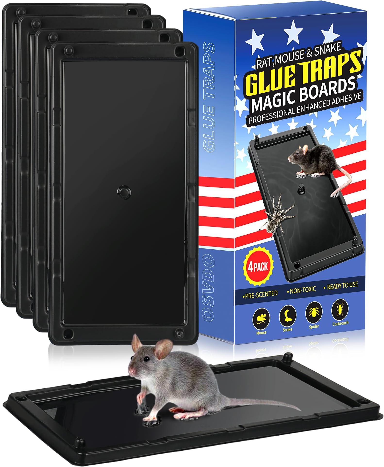 Amazon.com : Harris Rat Glue Traps, Fully Disposable (2-Pack) : Patio ...
