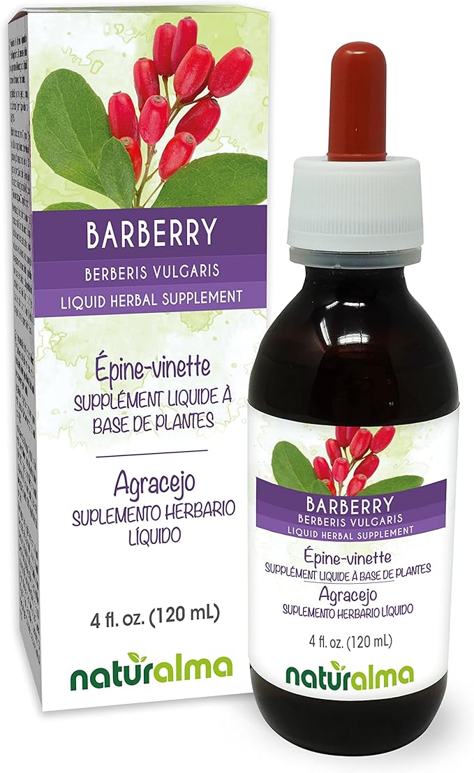 Amazon.com: Naturalma Barberry (Berberis vulgaris) Root bark Alcohol ...