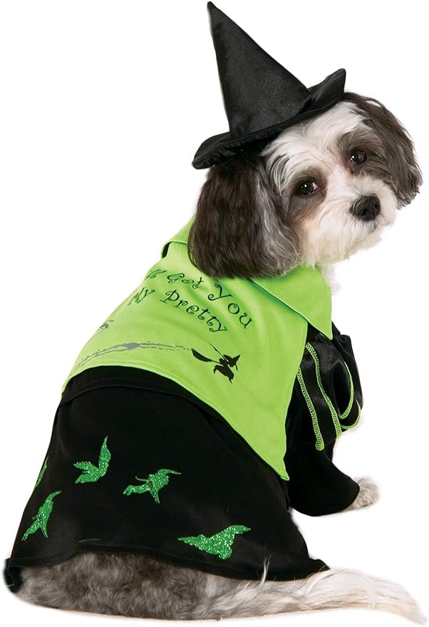 Amazon.com : Rubies Costume Wizard of Oz Collection Pet Costume, X ...