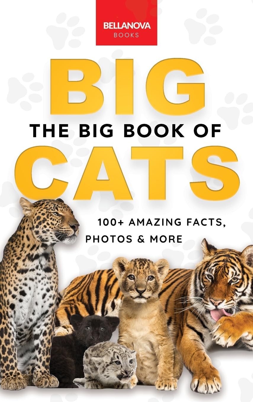 The Big Book of Big Cats: Big Cat Facts: 100+ Amazing Facts About Lions ...
