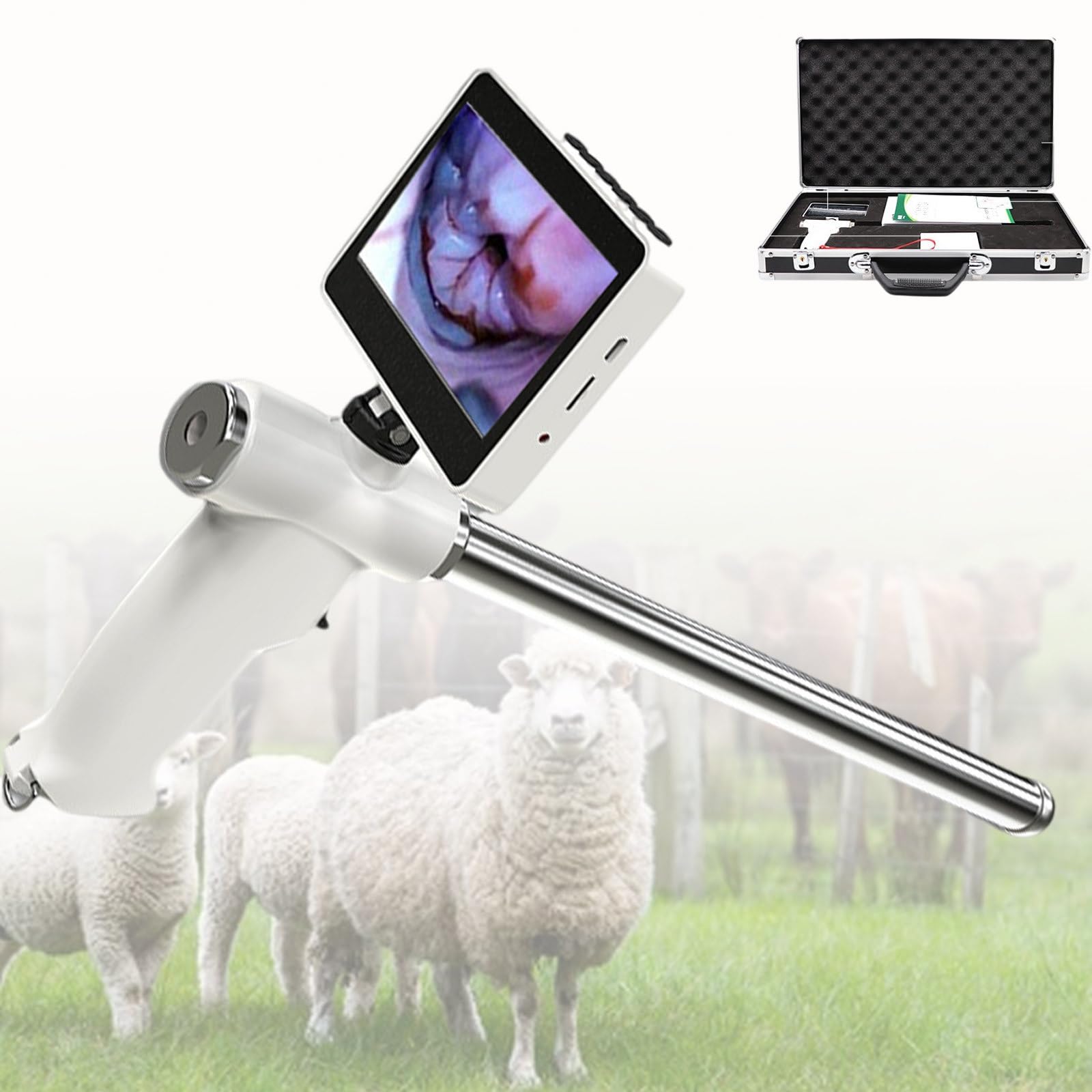 Amazon.com: Artificial Insemination Kit for Dogs/Sheep/Pig/Cow/Horse, Professional Visual ...