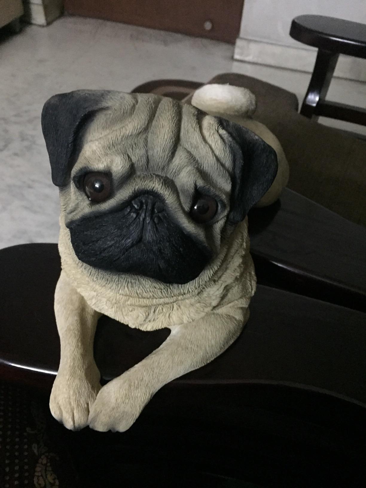 Sandicast Life Size Fawn Pug Sculpture, Sitting, Brown : Amazon.in ...