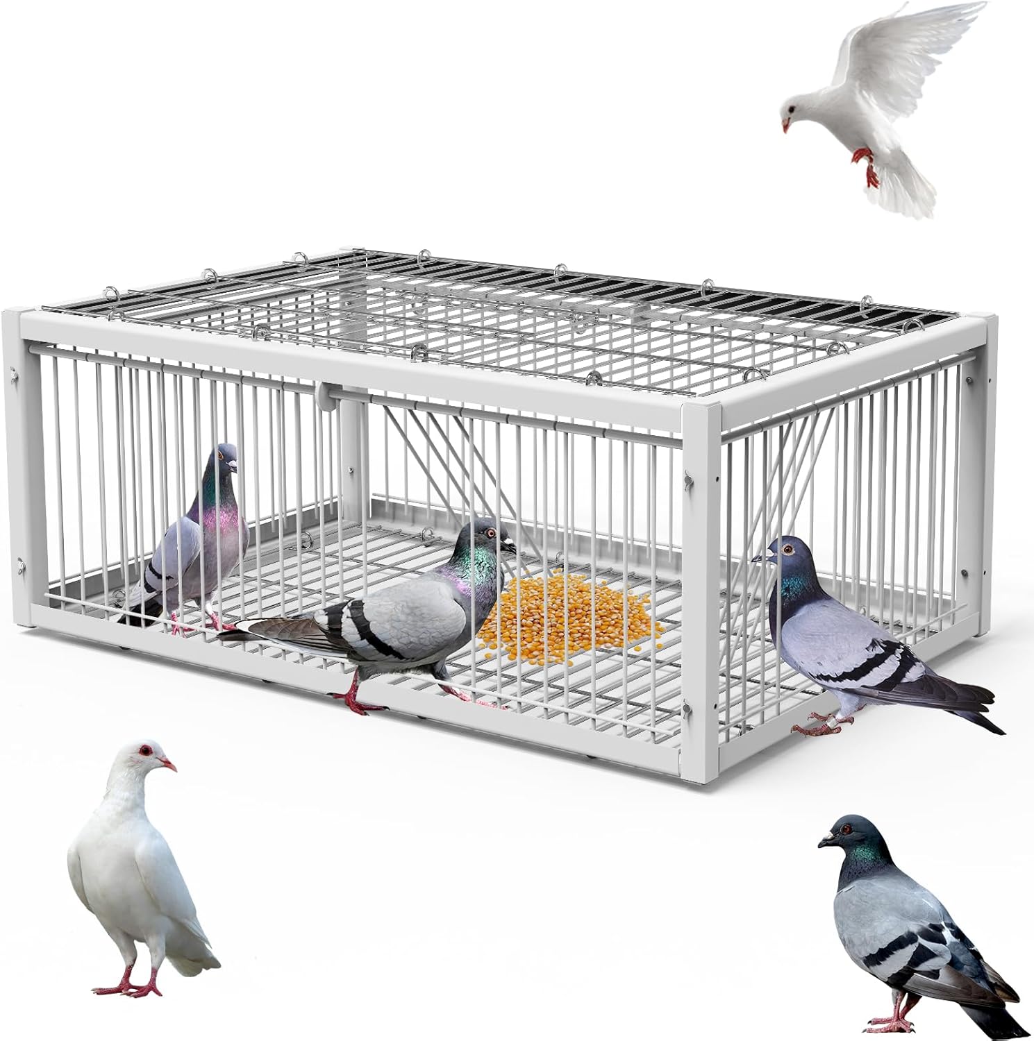 Amazon.com: PAUQRWIE Pigeon Trap Cage Bird Traps for Small Birds Folding One-Way Entrance ...