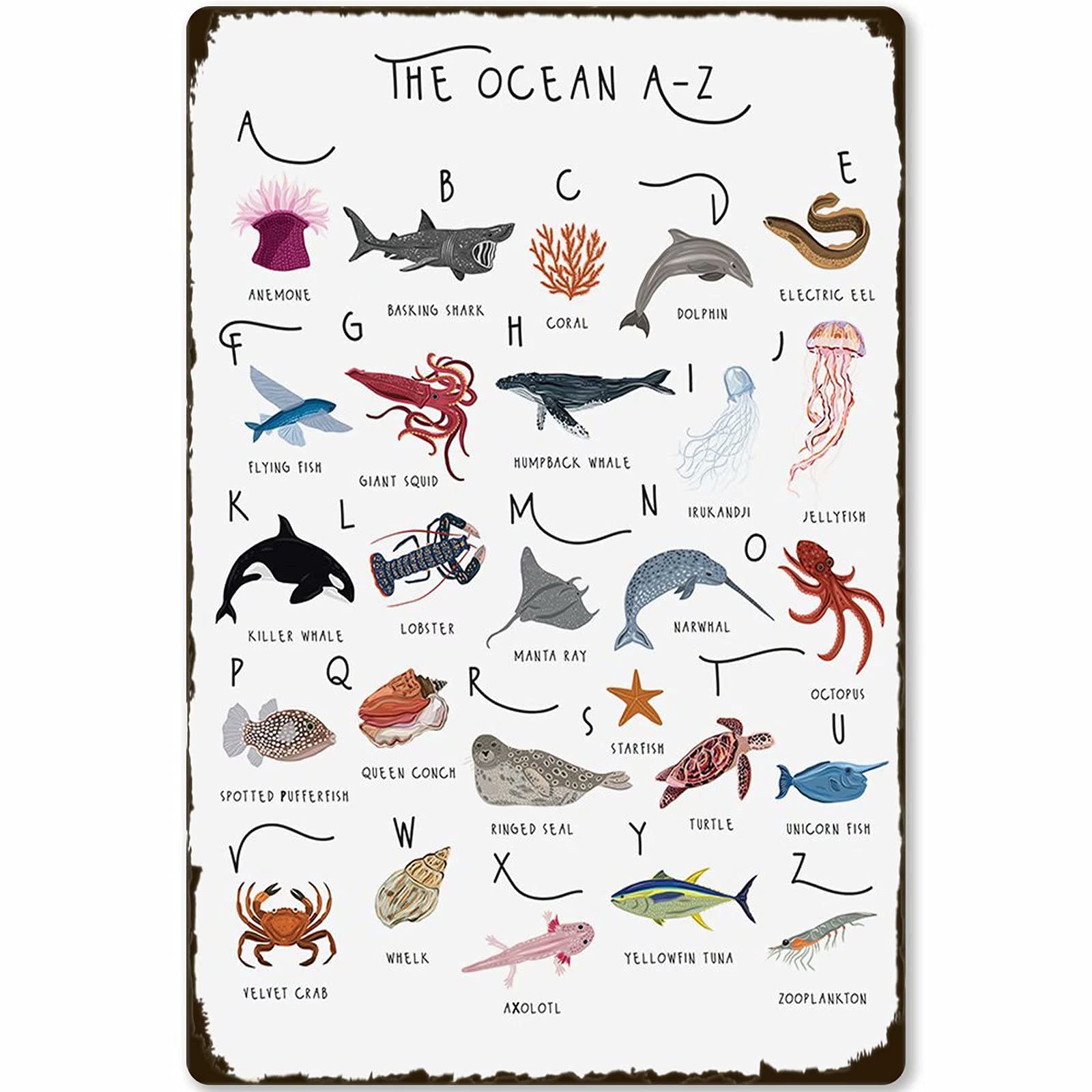 Ocean Animals A Z Can You Name These A Z Sea Animals? 🐠 🐡 🦀