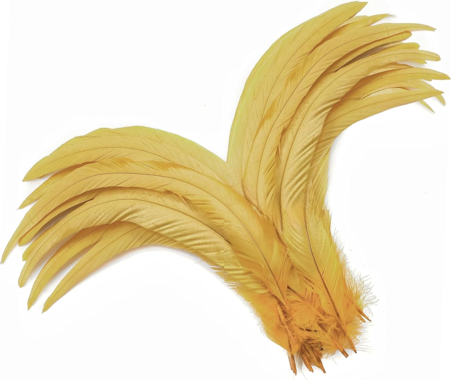 Amazon.com: Holmgren 60pcs Yellow Rooster Feathers - 12-14inch Natural ...