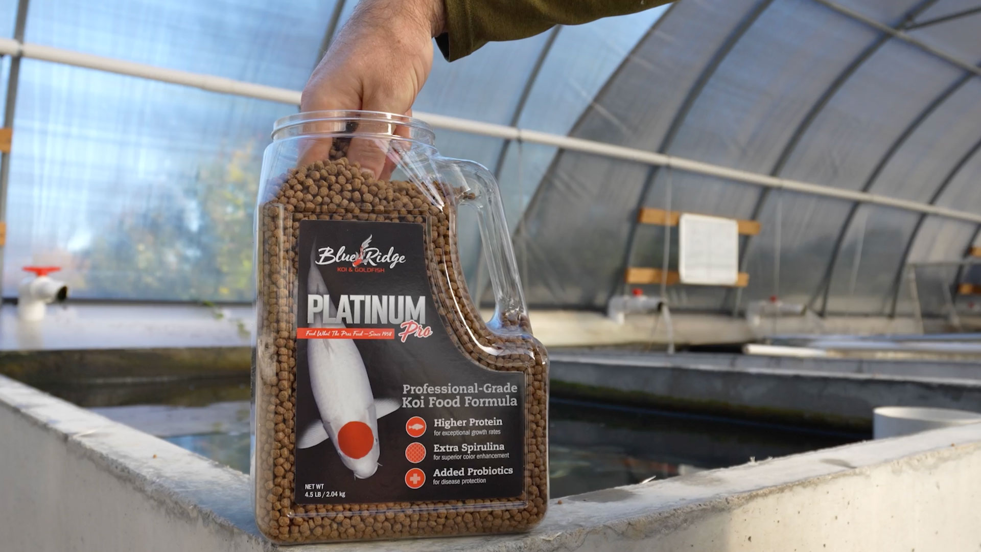 Blue Ridge Fish Food Review at Mark Dunning blog