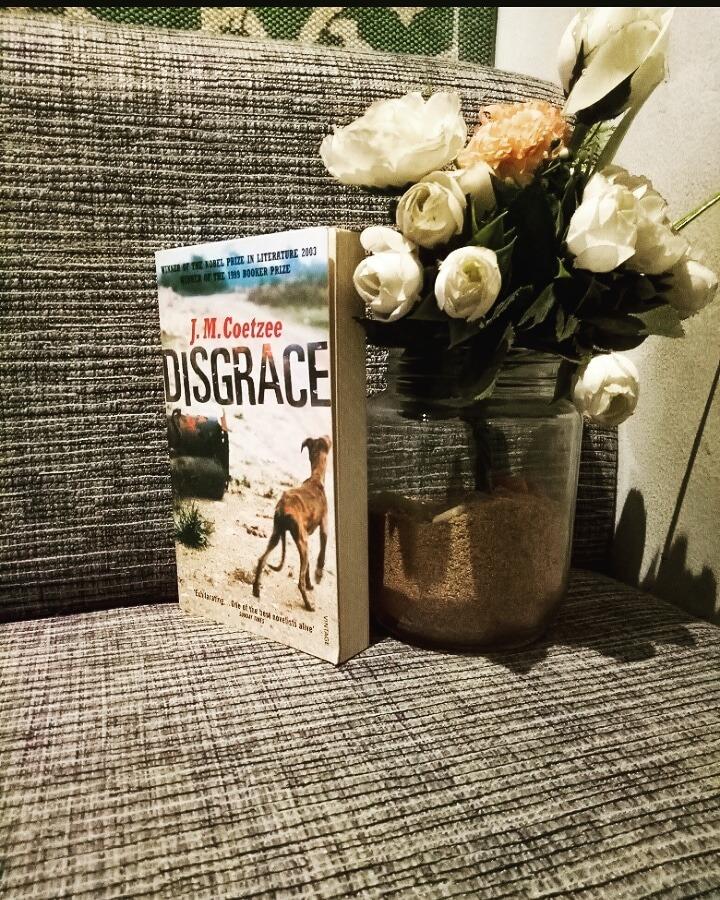 Buy Disgrace: A BBC Between the Covers Big Jubilee Read Pick Book ...