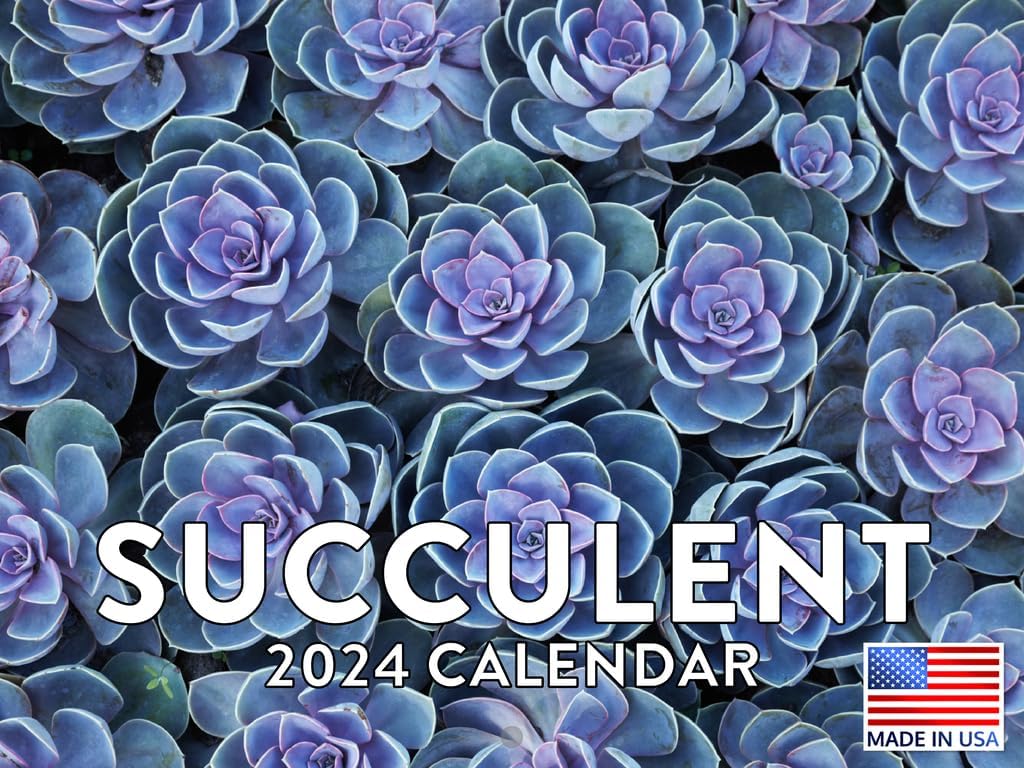 Amazon.com: Succulent Calendar 2024 Monthly Wall Calender 12 Month ...
