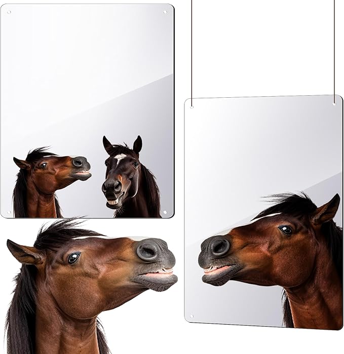 Amazon.com : Briwooody 2 Pcs Horse Stall Mirrors 12x16 Inches Acrylic ...