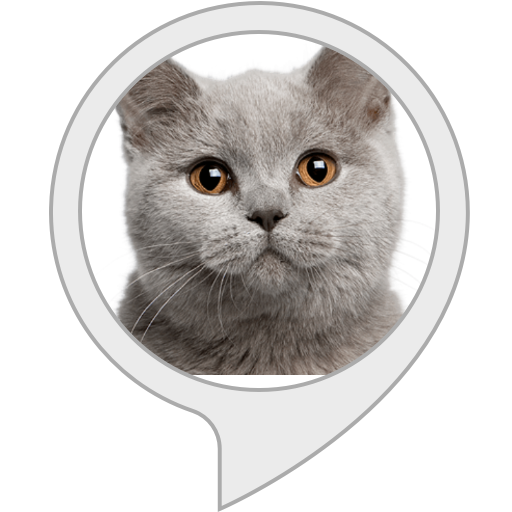 Amazon.com: Cat Facts : Alexa Skills