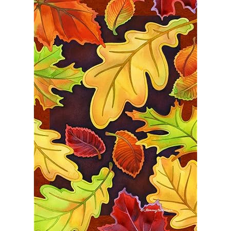 Amazon.com : Toland Home Garden Changing Colors 28 x 40 Inch Decorative ...